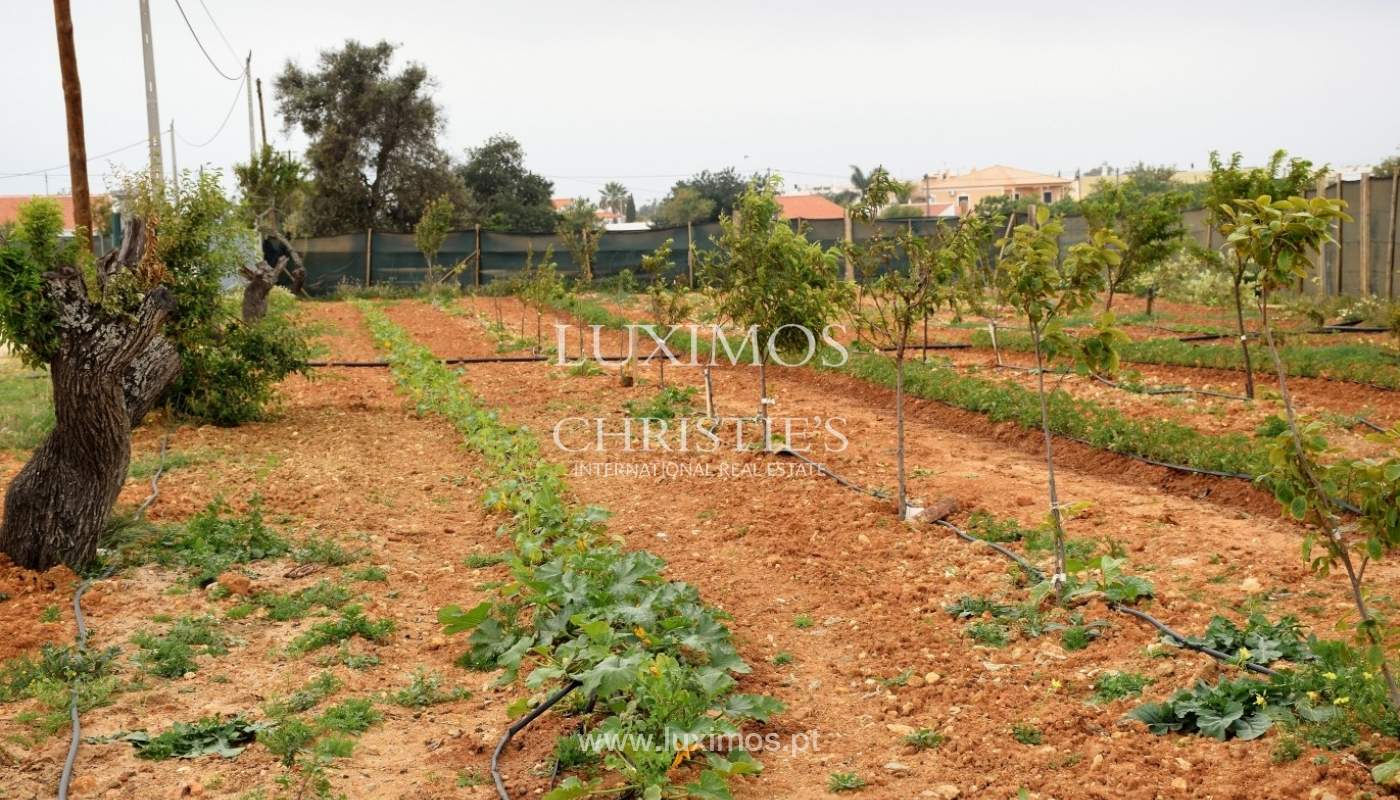 Farm for sale, close to the beach, Albufeira, Algarve, Portugal